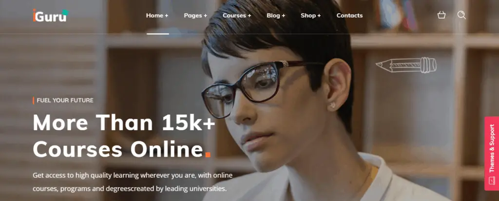 Best Online Course WordPress Themes You Can Customize and Integrate With Your Learning ...