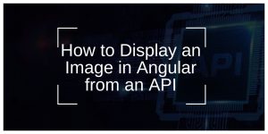 How to Display an Image in Angular from an API