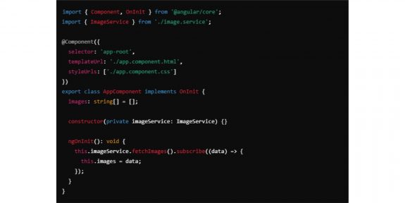 How to Display an Image in Angular from an API