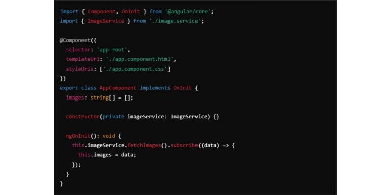 How to Display an Image in Angular from an API