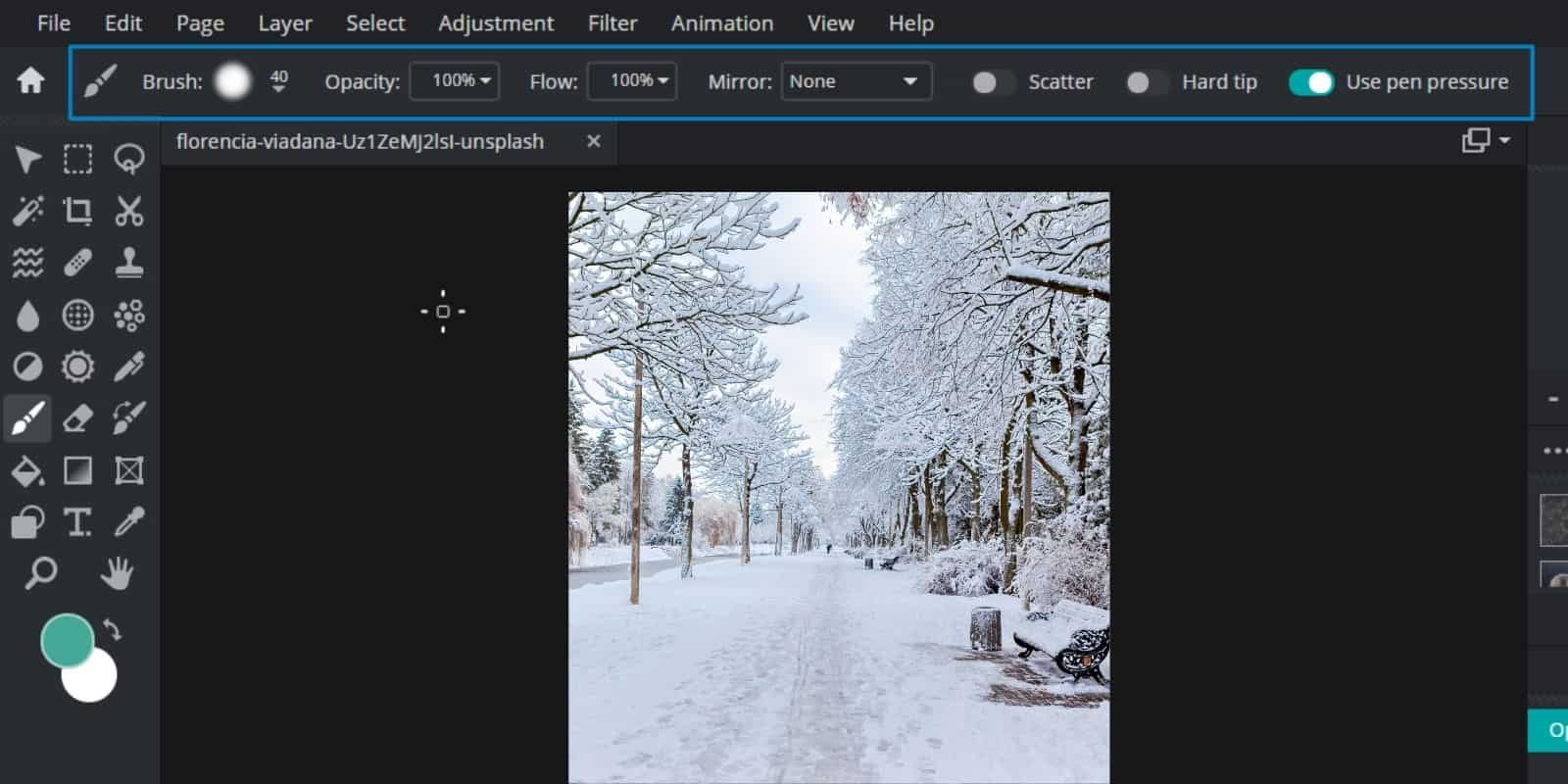 How to Add an Outline Using the Pen Tool in Pixlr?