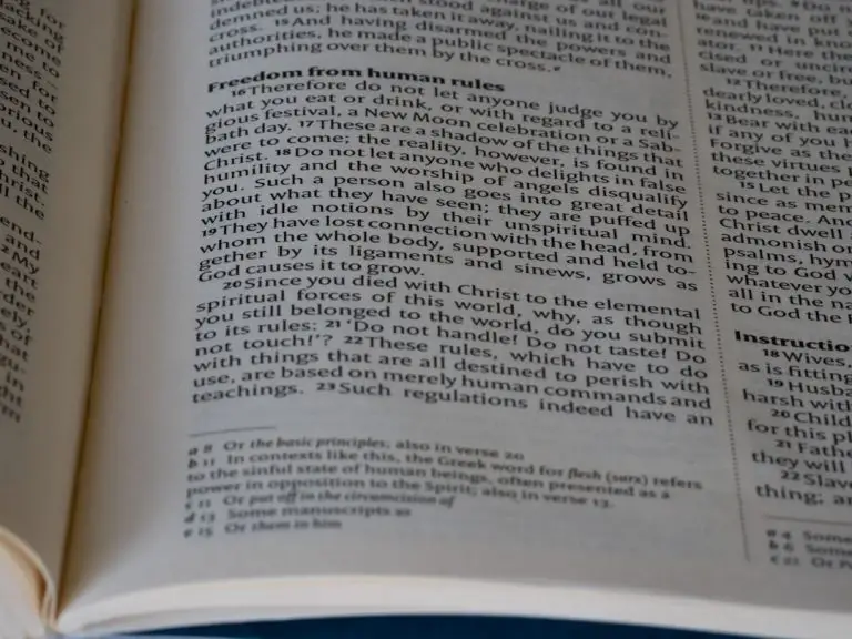 IEEE transactions on artificial intelligence Journal